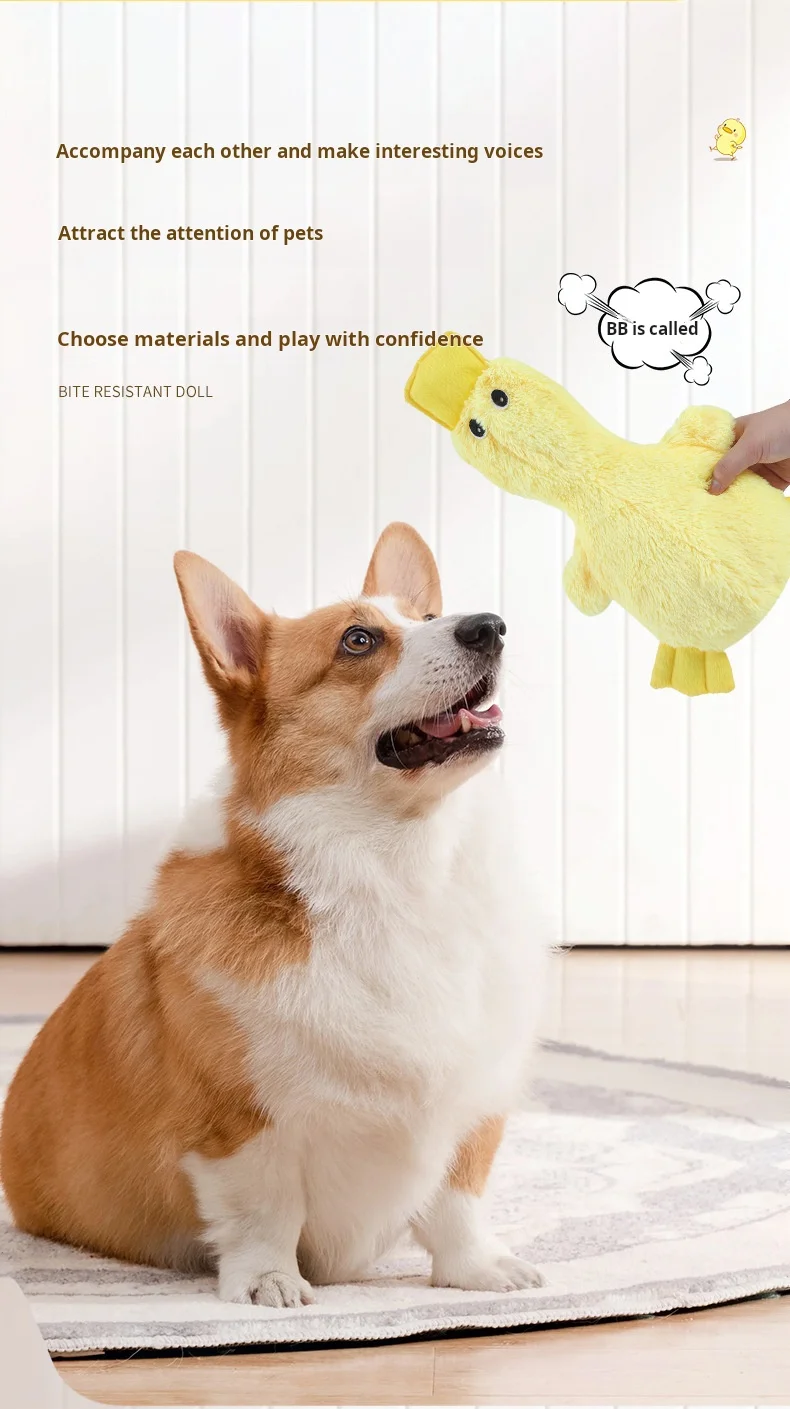 Dog Toy Funny Dog Bite-resistant Big Dog Molar Long Lasting Sound ...