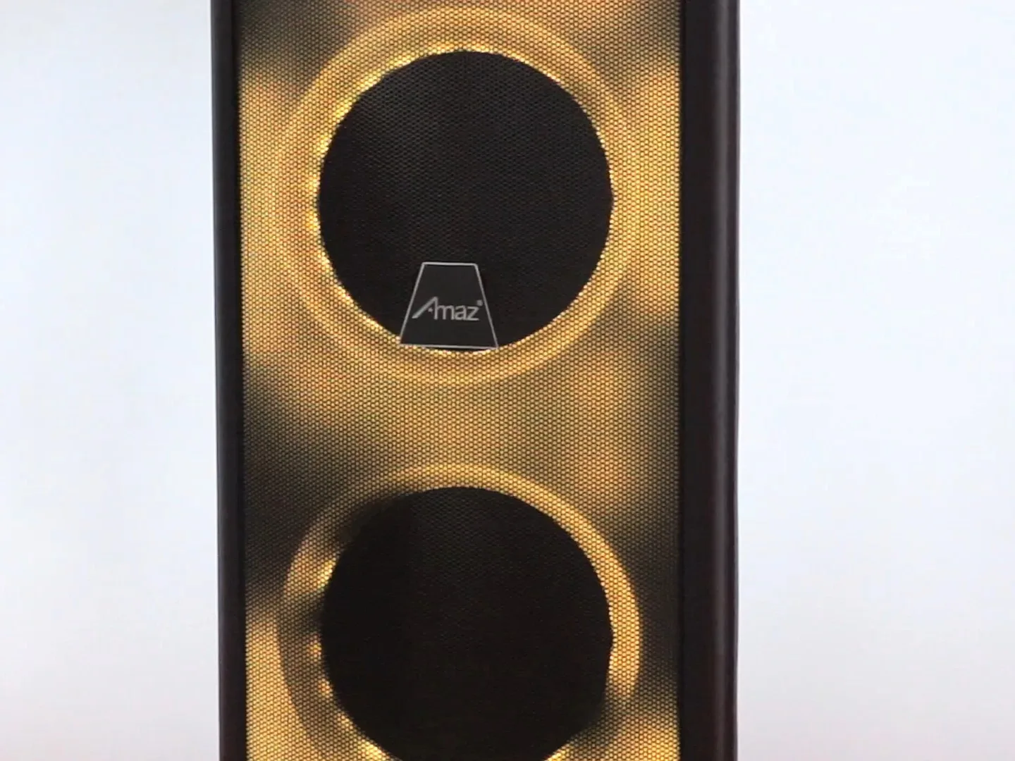 Stand-alone Party Box 2x10" 100w With Dual Led Light Effects - Buy ...