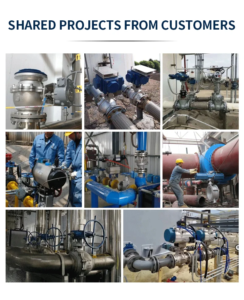 Wafer Flange Lug Type Stainless Steel Cf8m Dn3000 Unidirectional Seal ...