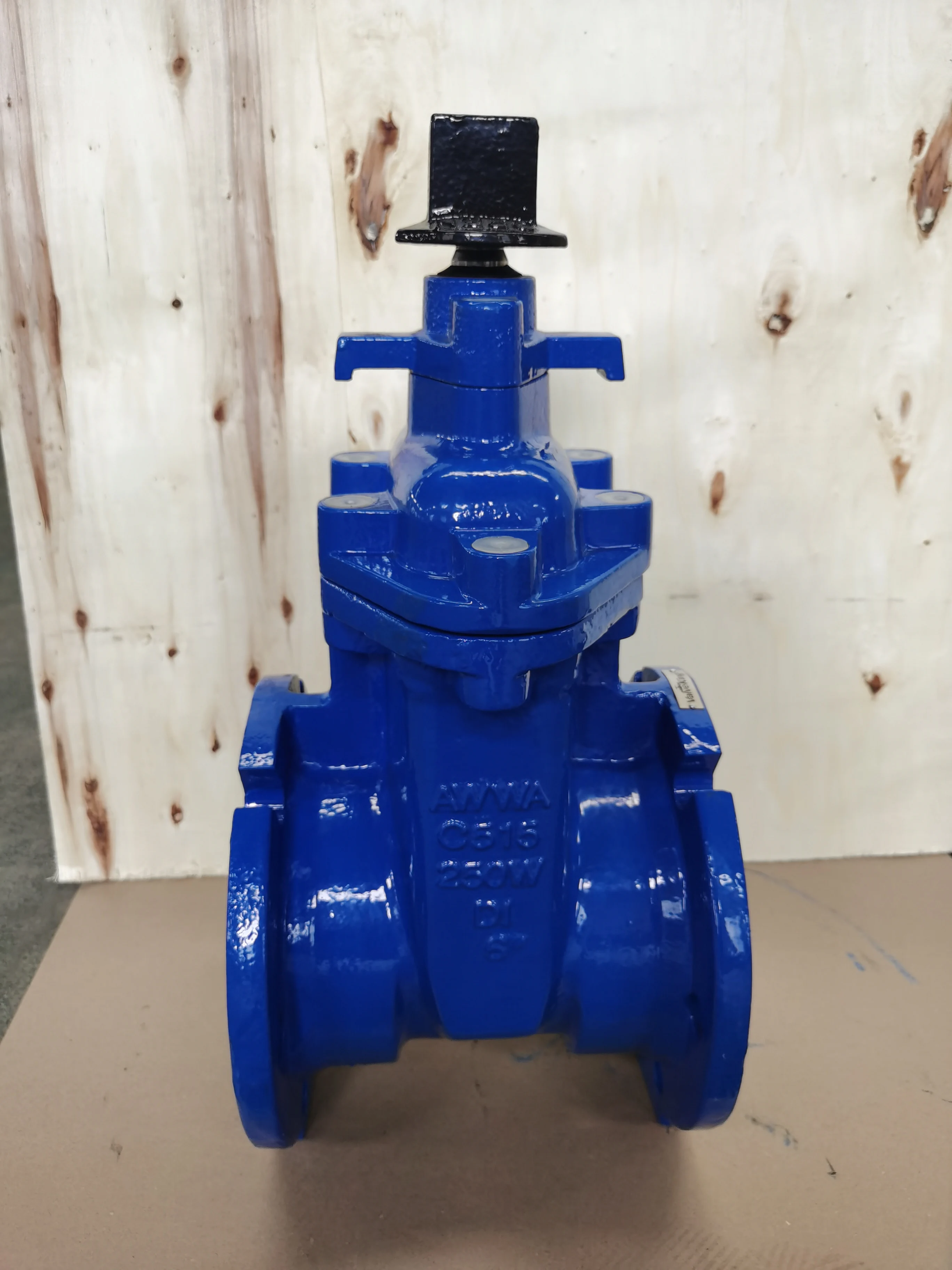 6 Inch 250psi Awwa C515 Nrs Resilient Seated Gate Valve,Mechanical ...