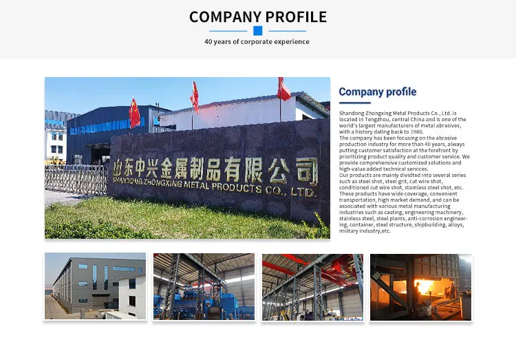 Descaling Gp Sae Steel Grit G16 G18 G25 G40 G50 Steel Grit For Blasting ...