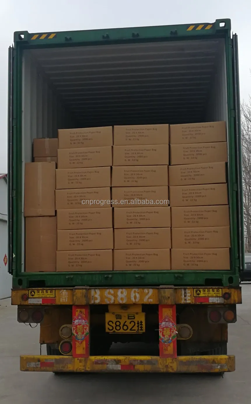 Wholesale Fruit Protection Growing Paper Bag - Mango Cover