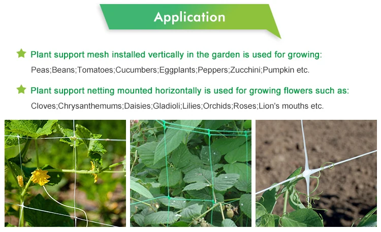 Hdpe Plastic Net For Supporting Growing Vegetables Trellis Netting For ...