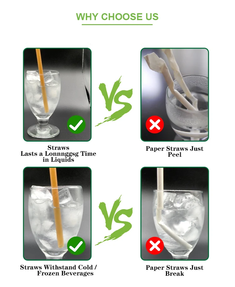 Eco-friendly Biodegradable Sugarcane Straw - Perfect for Camping
