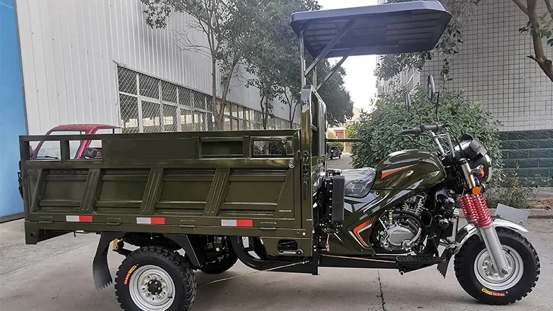 Factory Dual Water Cooled Engines Gasoline Petrol Motor Motorized ...