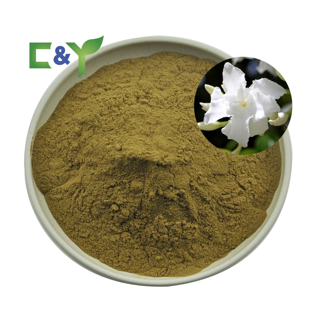 Wholesale Ervatamia Flower Ervatamia Capsules Ervatamia Extract Powder ...