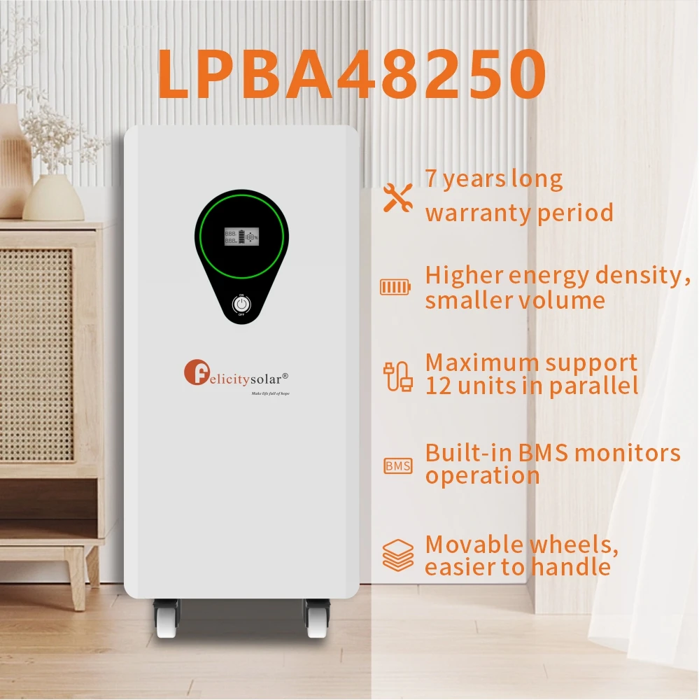 Felicity Solar 48v Lipo Battery Industrial Battery Oem Odm For Iraq ...