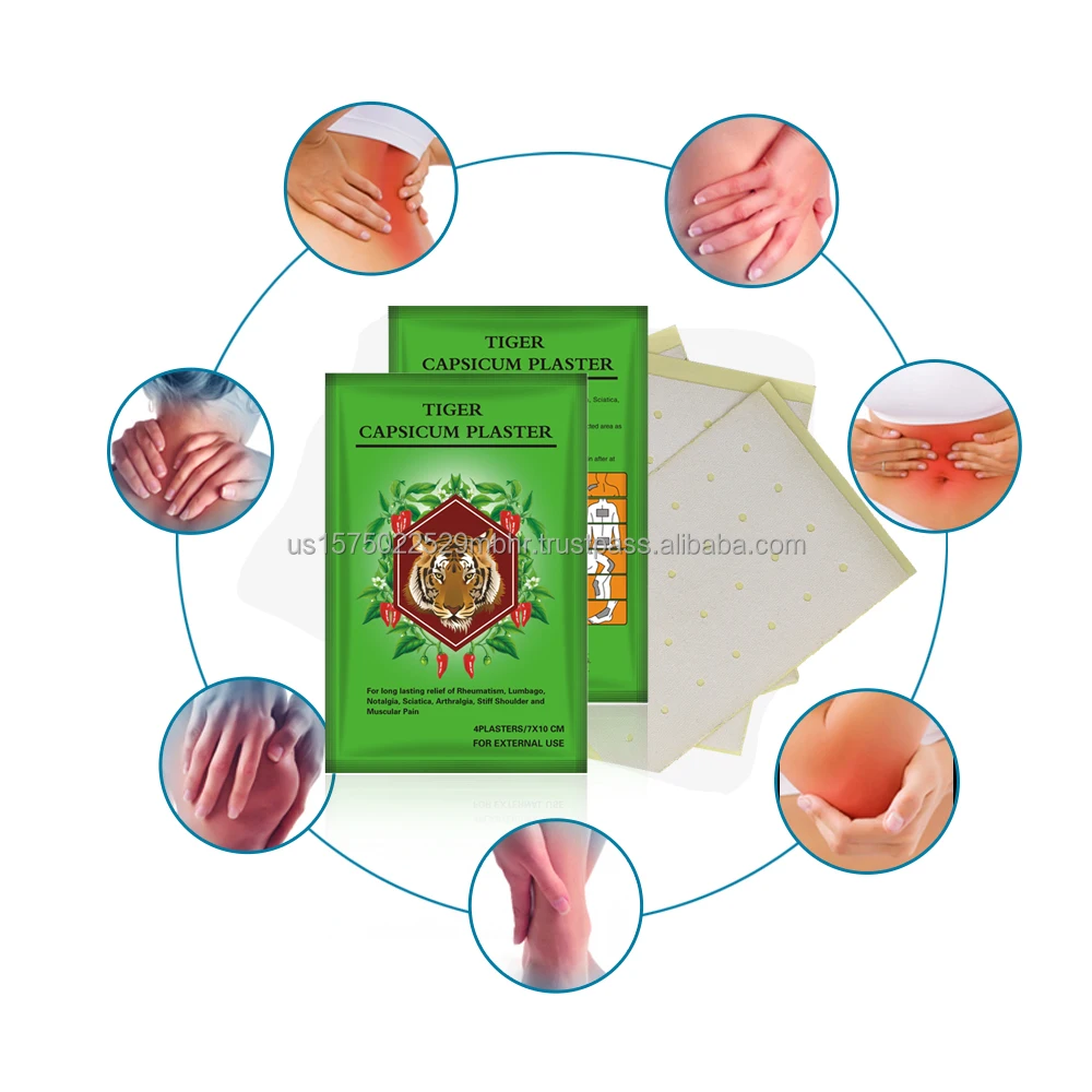Chinese Herbal Capsicum Medical Adhesive Antirheumatic CE Certified ...