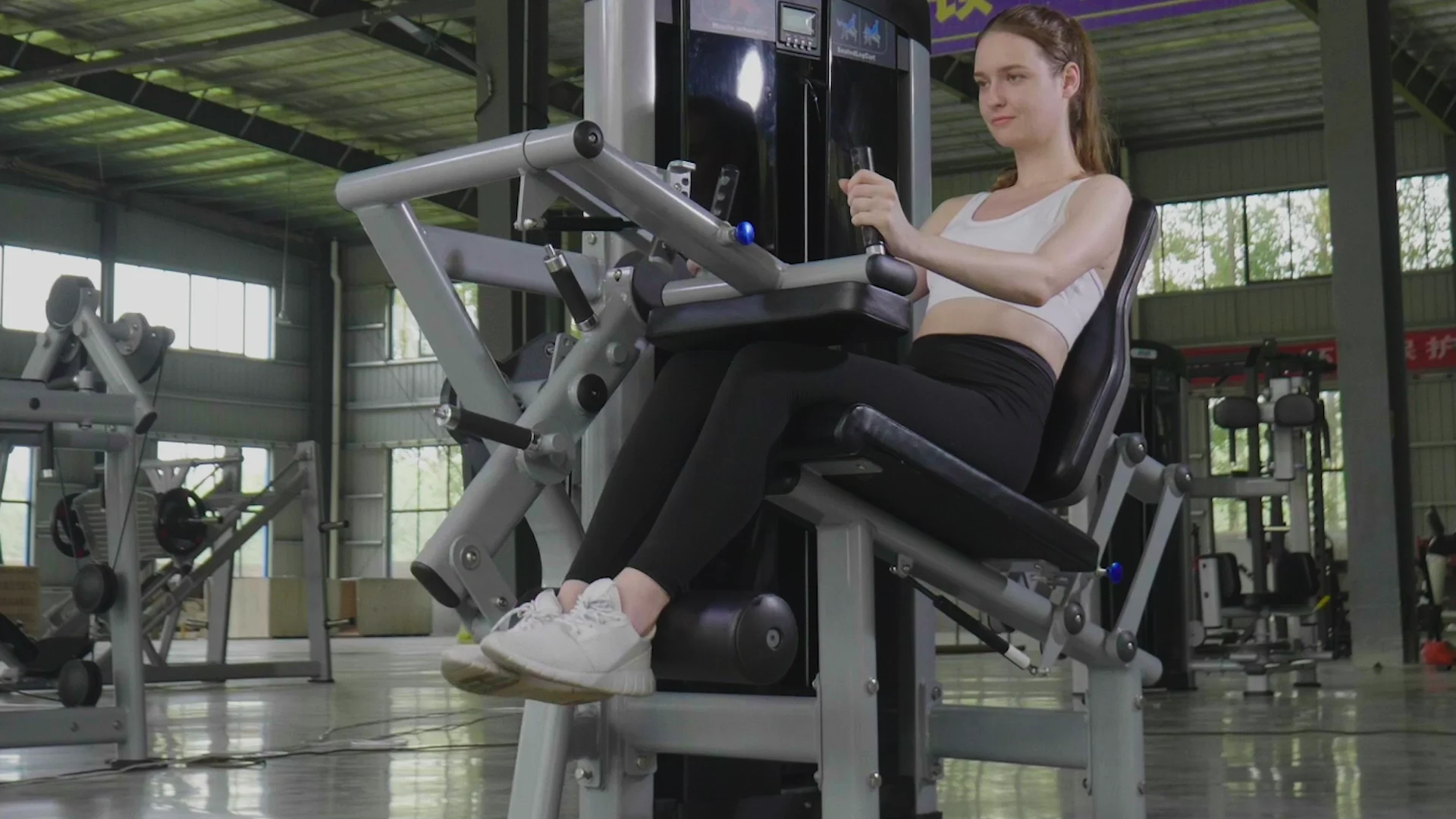 Commercial Home Gym Equipment-steel Seated Leg Curl Machine With Pin ...