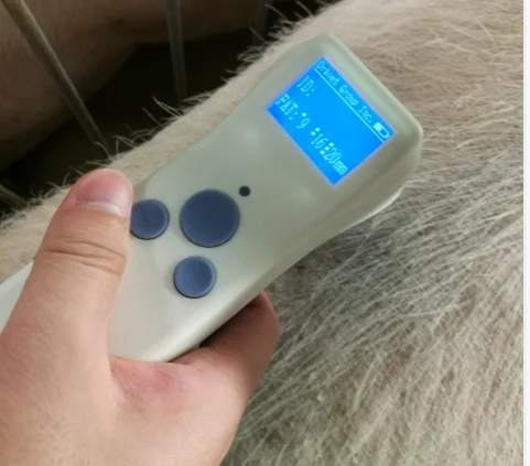 Wireless Back Fat Tester for Pigs - Automatic & Accurate