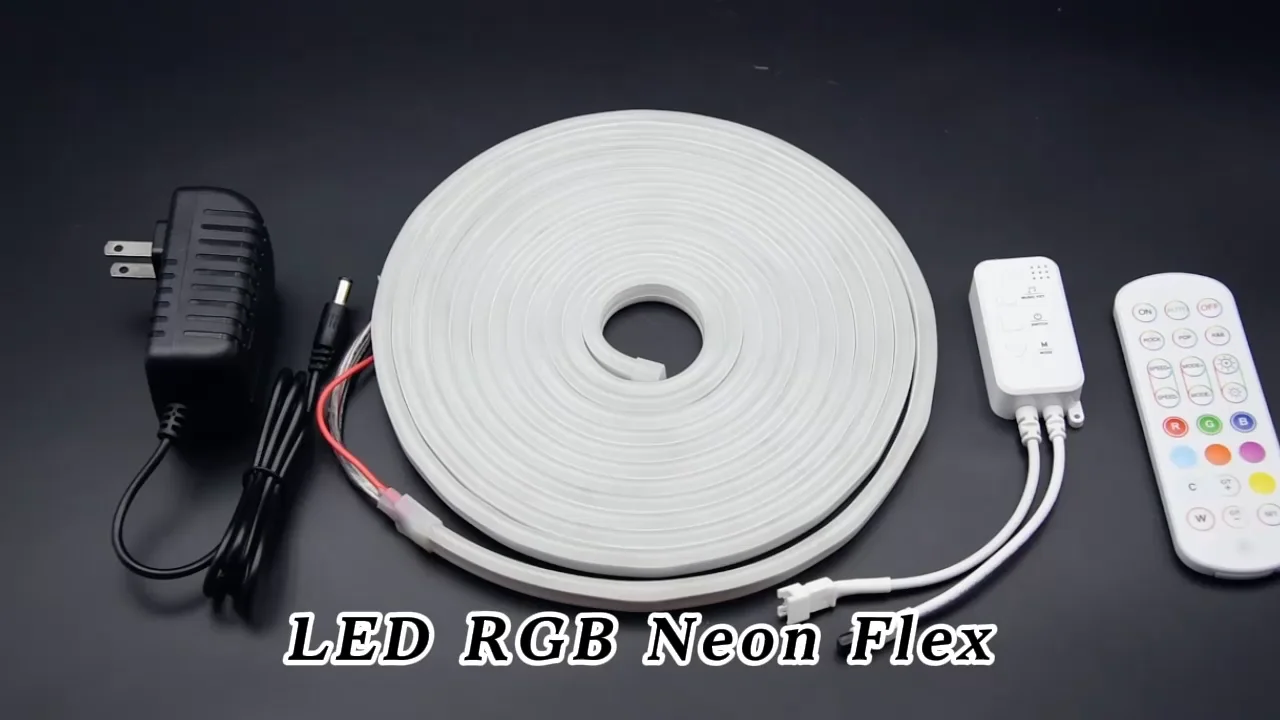 Waterproof Rgb Neon Led Rope Light 12v Outdoor Led Strip 24v Smart App ...