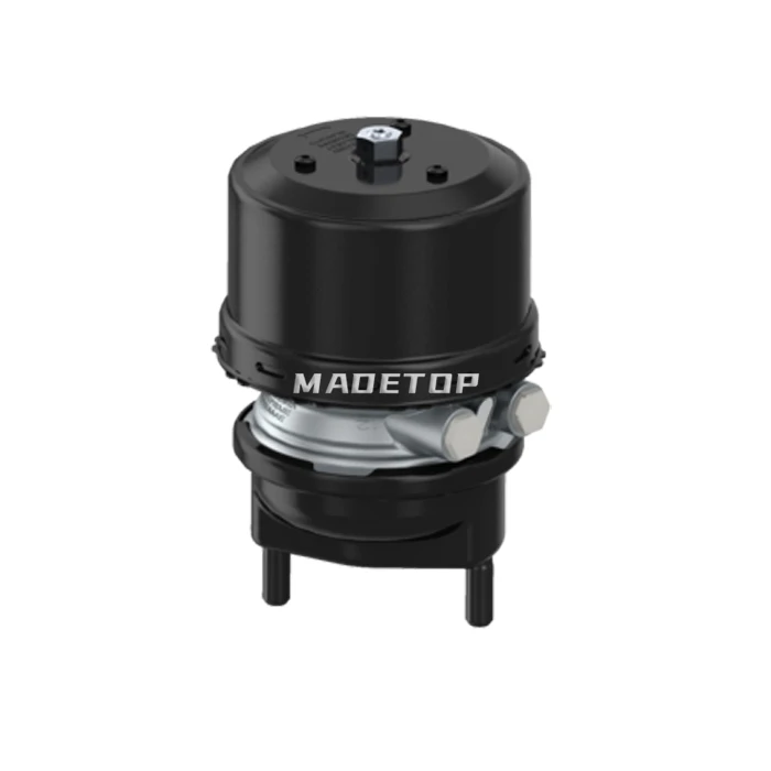 Madetop Zhuji Factory Brake Chamber Spring-loaded Cylinder 9254840200 ...