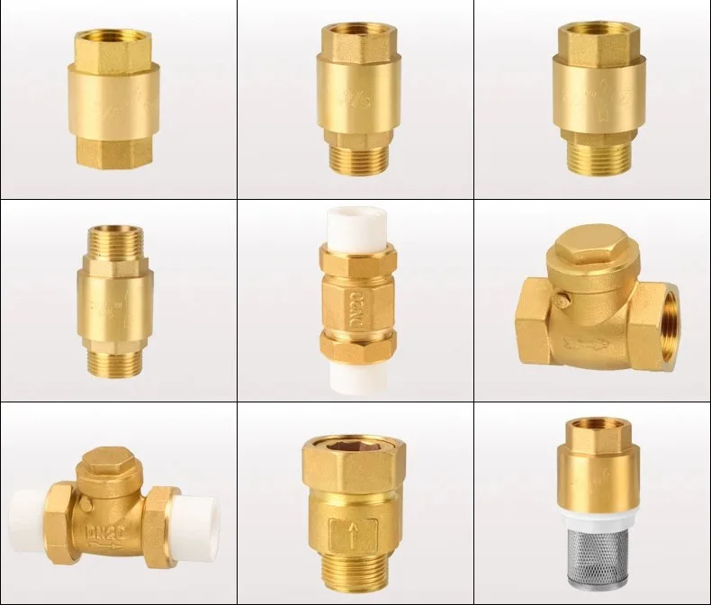 Brass Check Valves Female Threaded Horizontal Swing Spring Liquid Valve ...