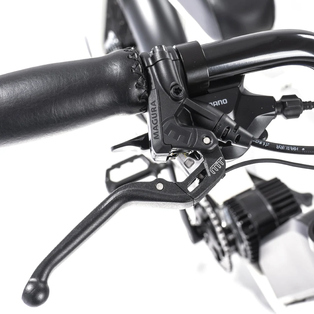 2023 Mario Retro Mid Drive Motor Bafang Bbshd 1000w Electric Mountain ...