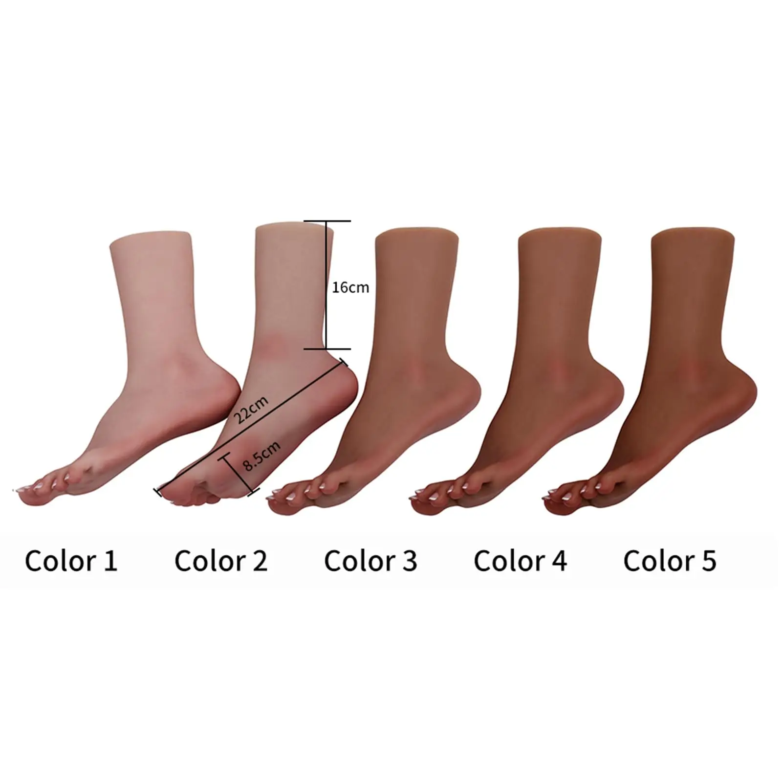 High Simulation Skeleton Female Silicone Feet Model