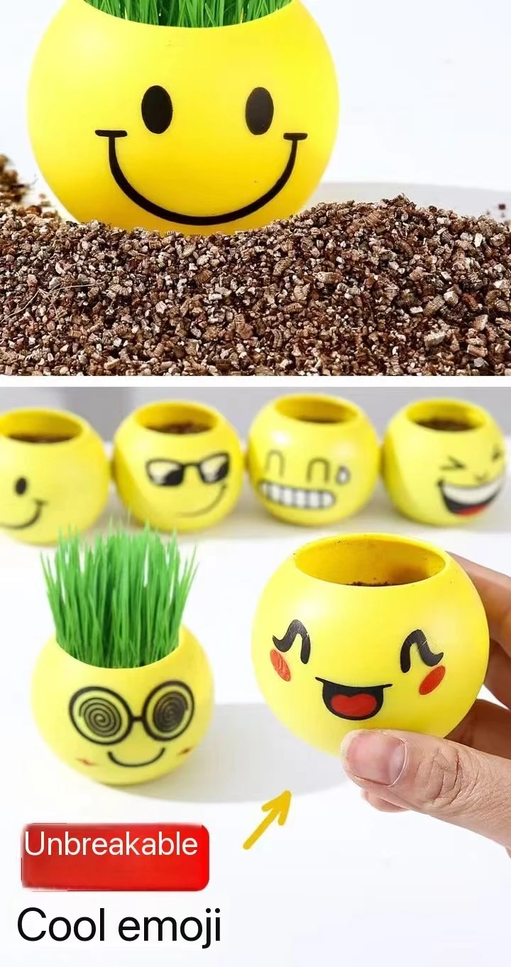 Wholesale Planting Toys Grass Head Doll Mini Potted Plants Observation ...