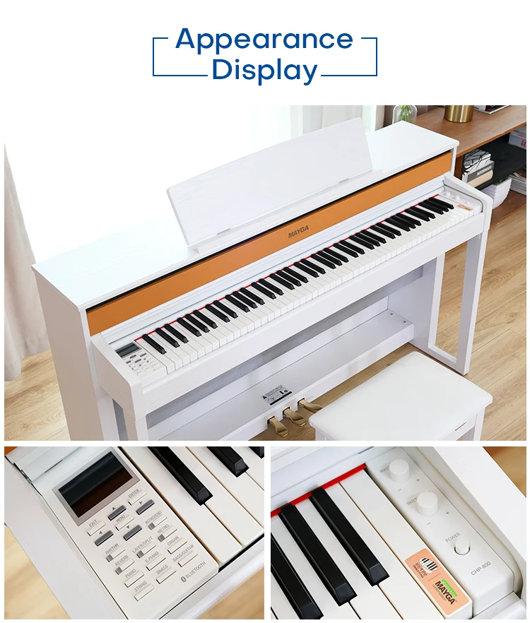 MAYGA CHP-800 - 88 Key Digital Piano with Progressive Hammer Action