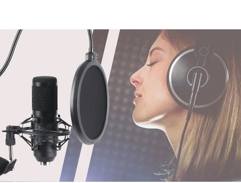 Best Price Professional USB Microphone Desktop Singing Condenser ...