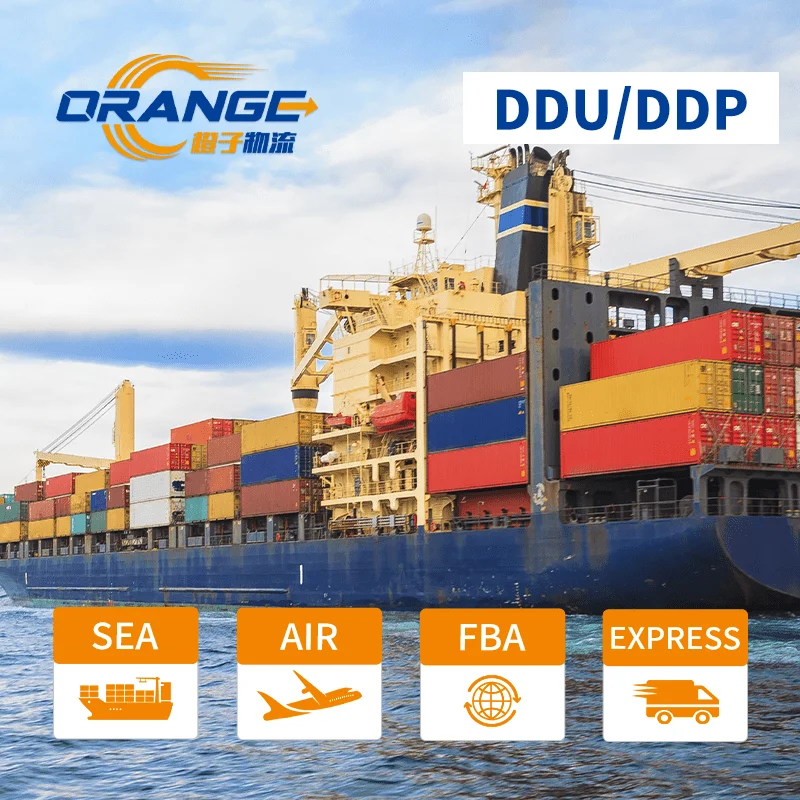China Dropshipping to Turkey Sea Shipping Agent DDP