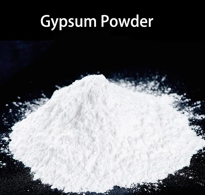 Model Powder White Gypsum Art Sculpture for Aromatherapy - Handmade DIY ...