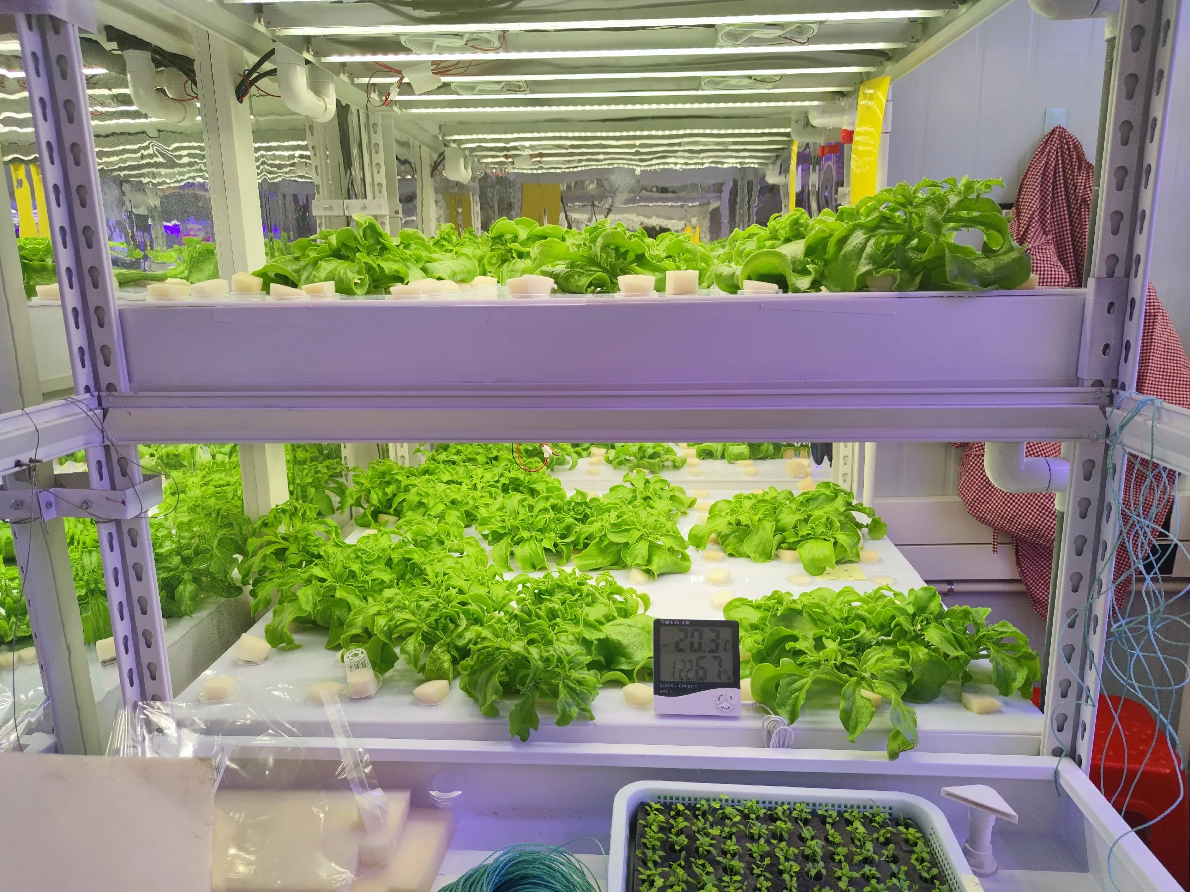 Vertical Farming Container - Hydroponic Strawberry Farm
