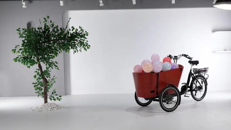 New Design Velomobile Trike for Cargo - Electric Bike