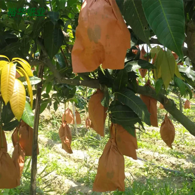 Shammah Waterproof Mango Paper Bags - Durable & Customizable