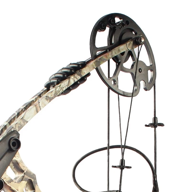 M120 Compound Bow - Versatile Hunting Bow with Adjustable Cams