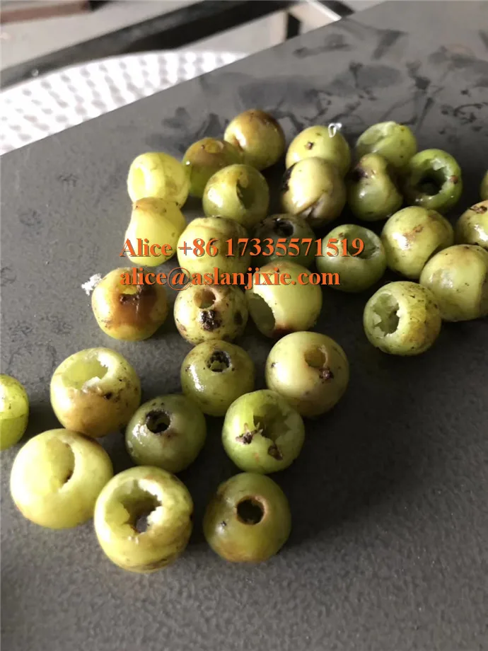 Hawthorn Fruit Seed Pitting Machine/ Cherry Seed Remover Cutting ...