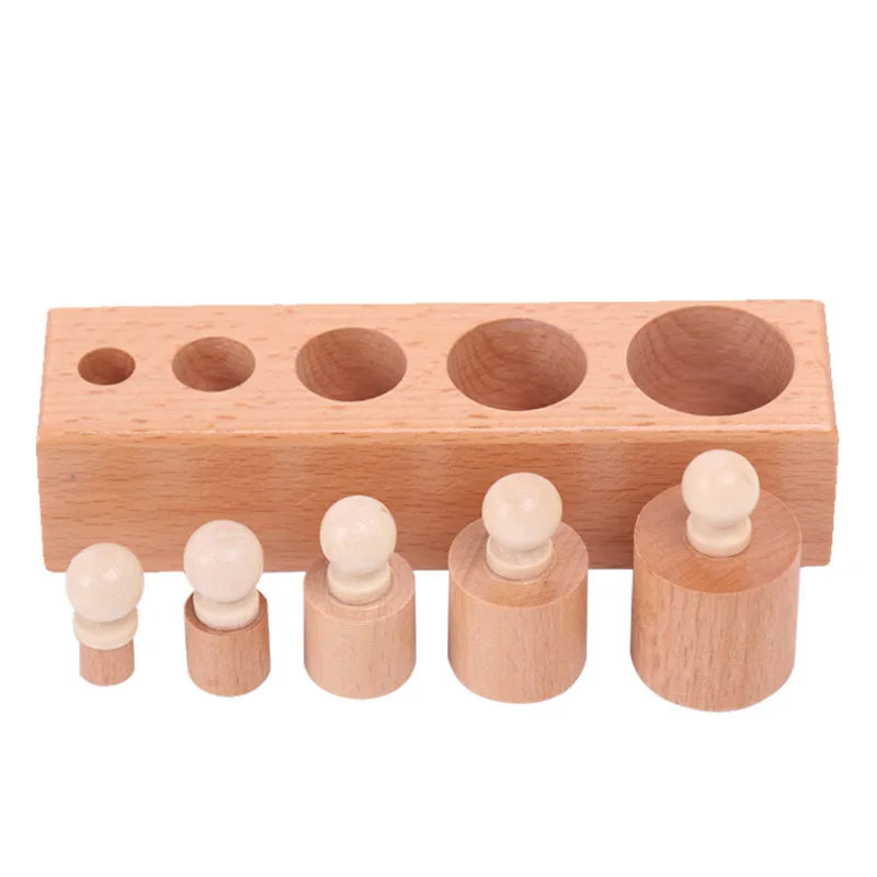 Baby Montessori Educational Wooden Toys Socket Cylinder Block Set For ...