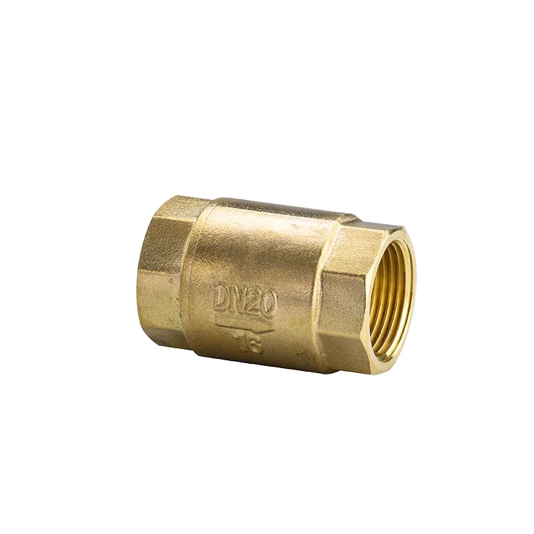 Dunyun Brass Check Valve - High Pressure & Medium Temp