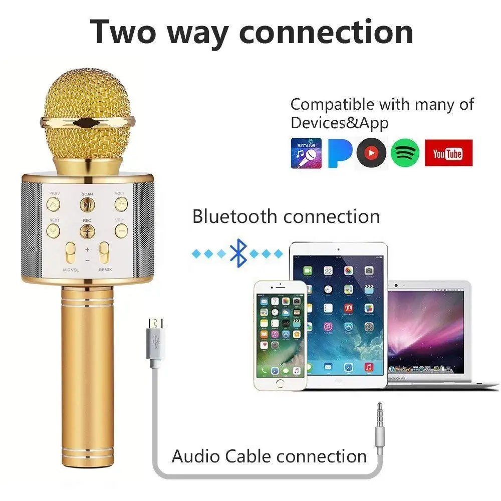 Ws858 Professional Wireless Microphone: Handheld Karaoke Mic and Music Player