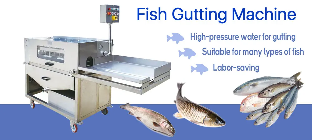 Efficient Fish Gutting - Professional Tilapia Machine