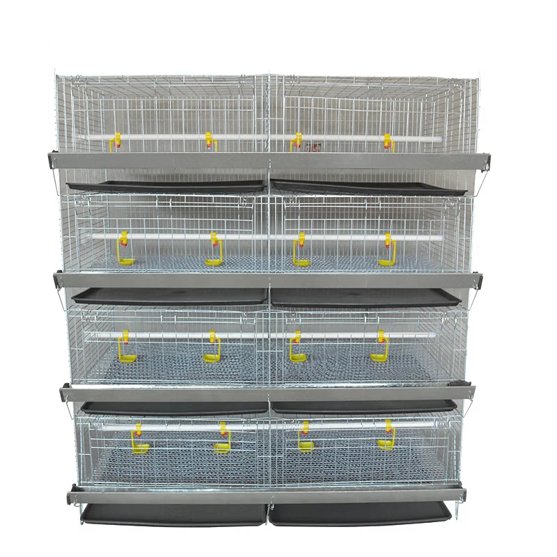 Chick Brooder Broiler/brooding Pakistan Broiler Cage - Buy Brooder Heat ...