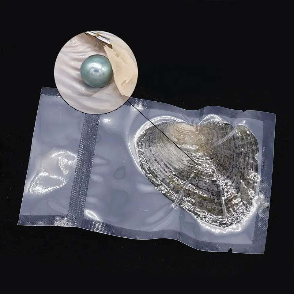 Famous 4a Fresh Water Natural Akoya Shell Oyster With Pearls From Pearl ...