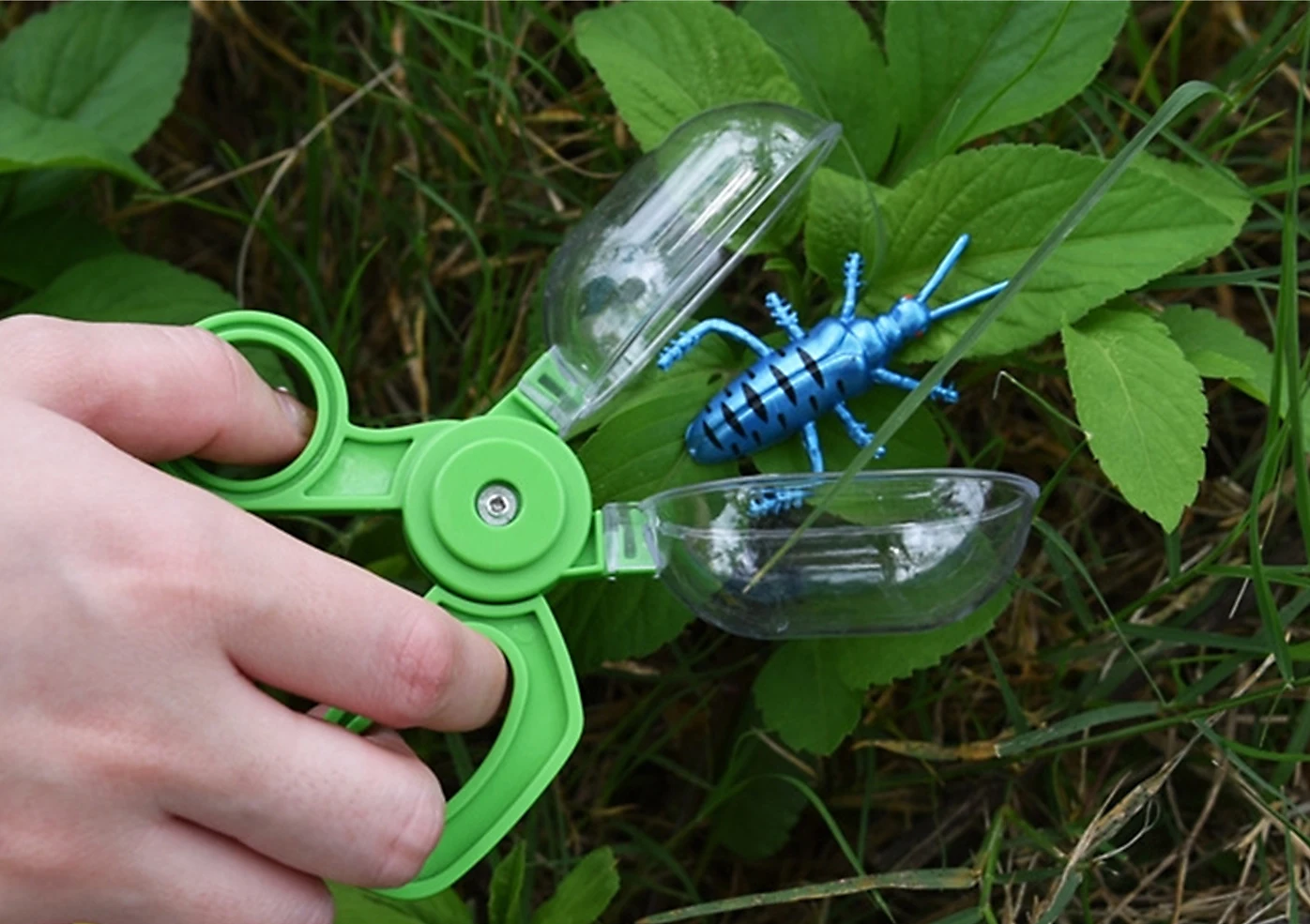 Outdoor Explorer Bug Collection Magnifying Glass Butterfly Net Critter ...