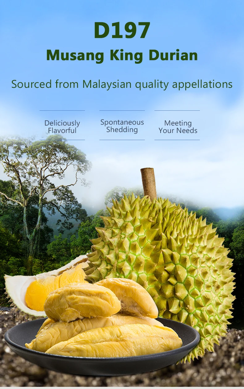 Fresh Durian From Malaysia Frrozen Durian Meat Musang King Durian Flesh ...