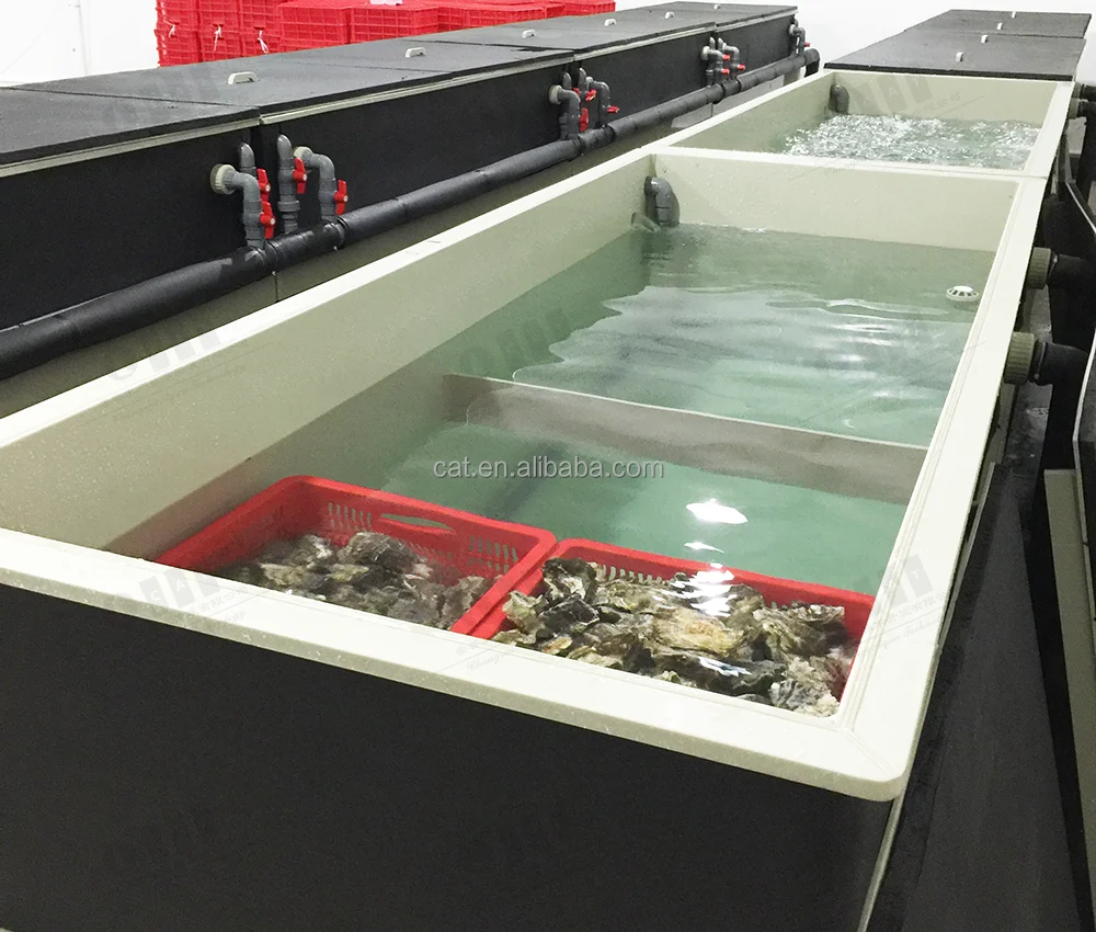 Shanghai Project Supermarket Intensive Live Lobster Farm Tank Ras System