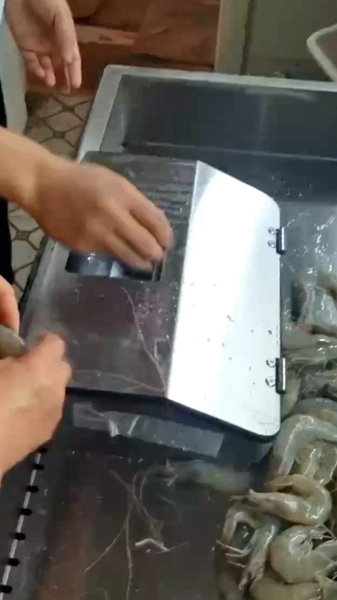 Commercial Shrimp Peeler And Deveiner Machine Shrimp Back Open Cutting ...