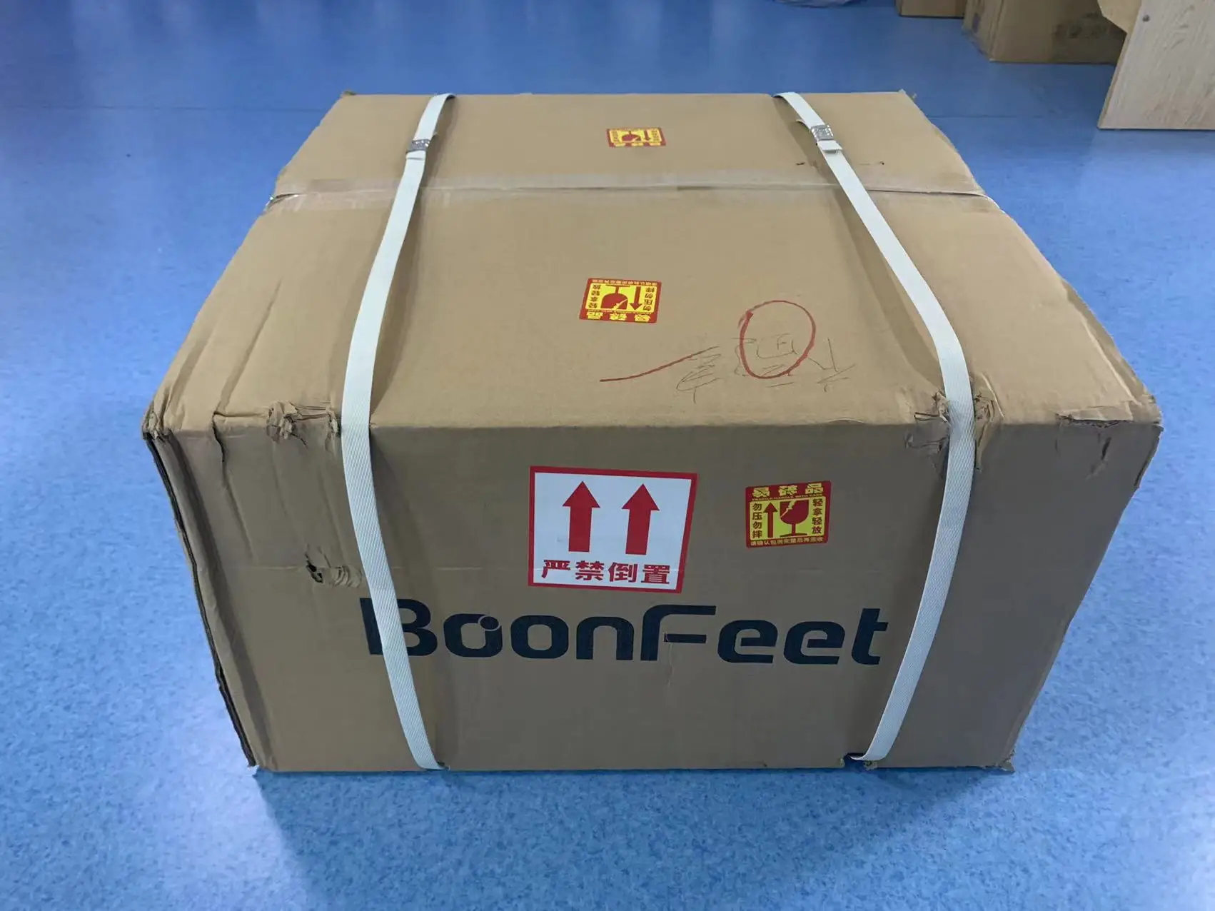Portable C2 Plantar Pressure Detection Posture Analysis Customize ...