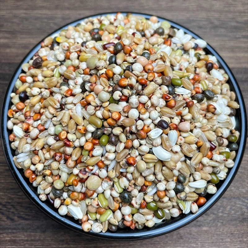 Wholesale Fresh Nutritional Pet Food Spotted Dove Young Bird Birdling ...