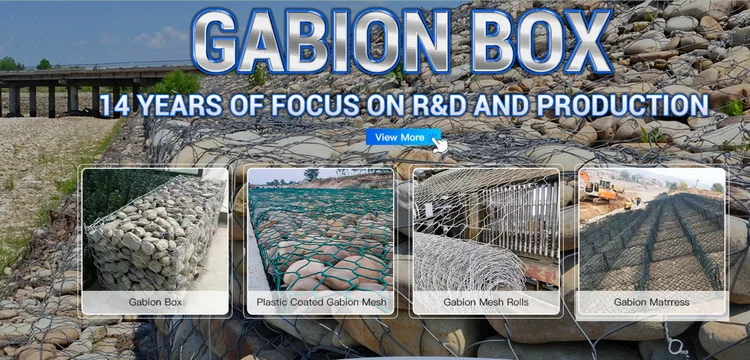 Galvanized Hexagonal Wire Mesh Netting PVC Coated Gabion
