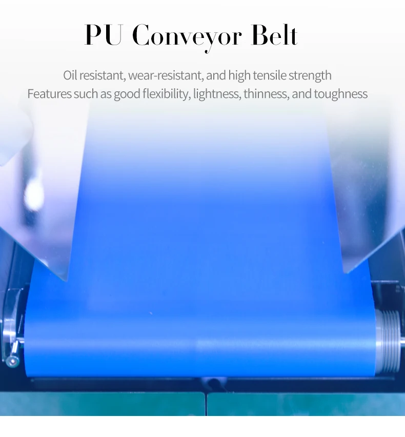 Mini Checkweigher 0.1g Scale Check Weight Machine Price High Accuracy ...