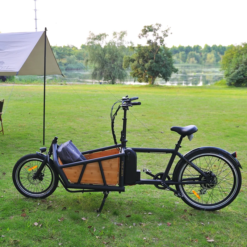 48v500w 8fun Motor 2 Wheels Family Cargo Bike Front Loading Carry Kids ...