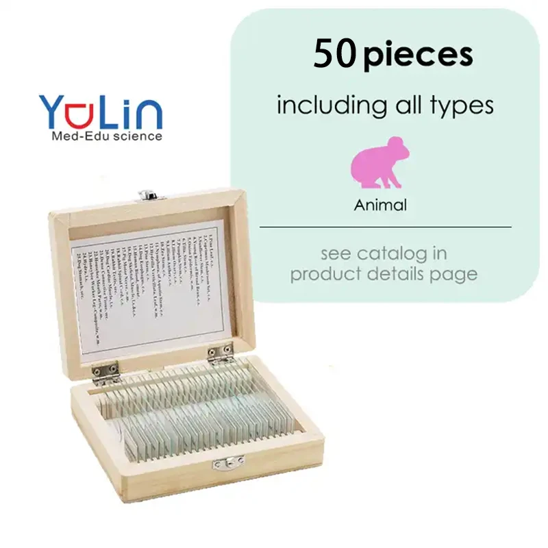 Teaching Resources Medical Biology Microscope Slides Prepared By ...