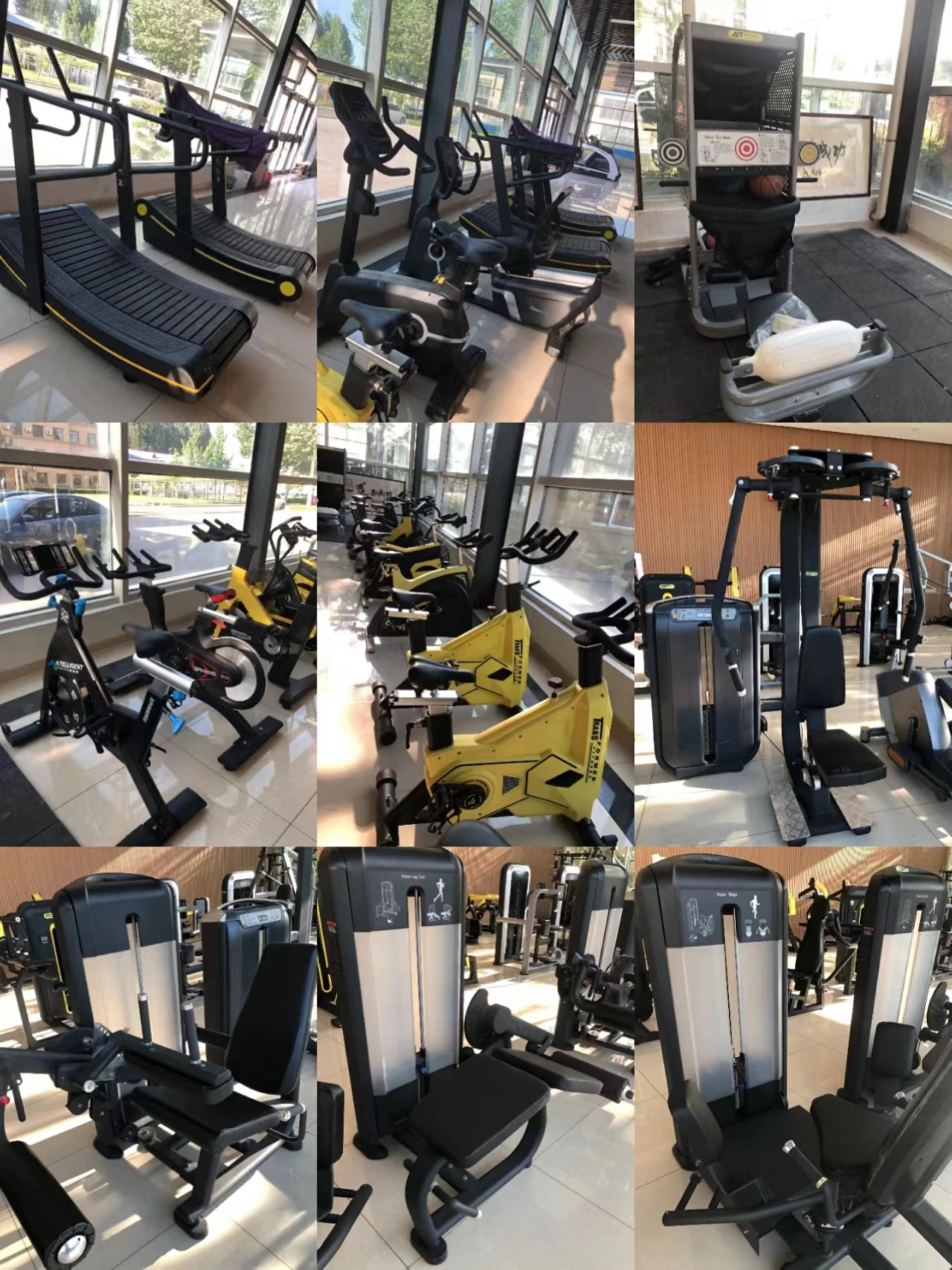 Durable Standing Lateral Raise Machine for Comprehensive Fitness ...