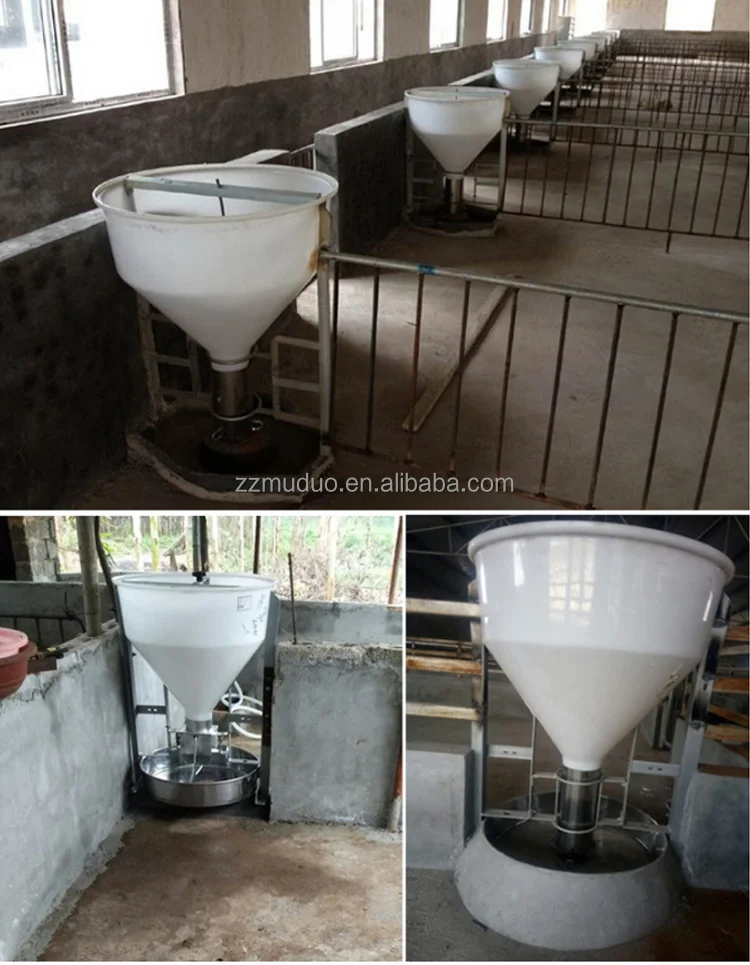 Automatic Pig Feeding Equipment - Efficient & Water-saving