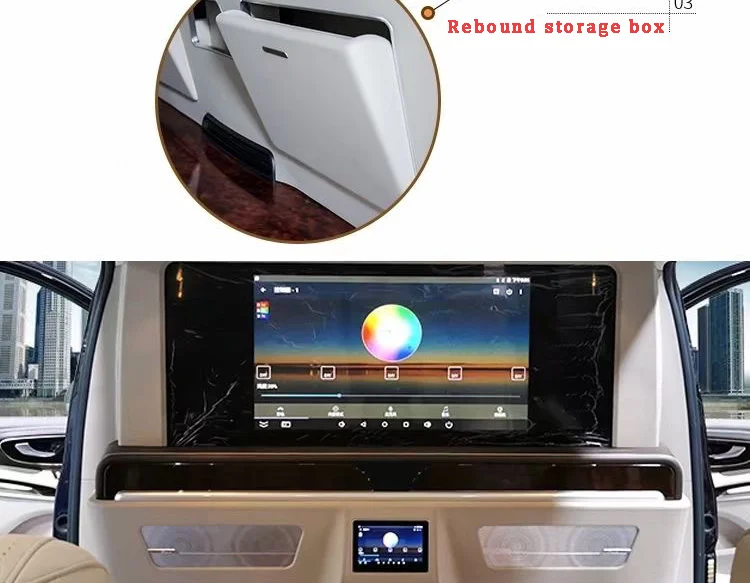 V-class V220D V250D Interior Upgrade with TV Wall & Partition