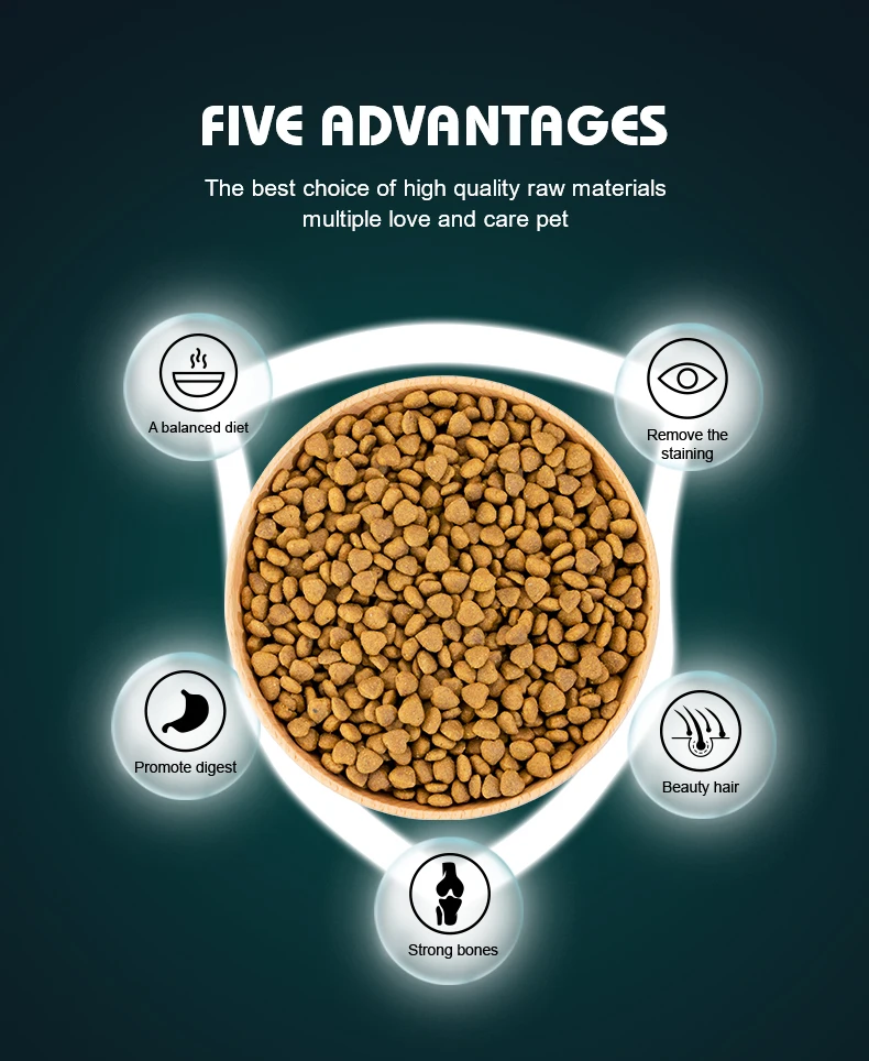 BSCI OEM Dog Food Wholesale - Organic, Healthy, and Delicious