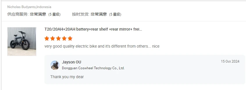 Coswheel GT20 Lithium Battery Fatbike - 7 Speed Electric Mountain Bike ...